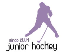 ᐈ Hockey logo: 20+ examples of emblems, design tips | ZenBusiness