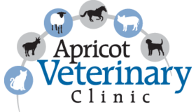 ᐈ Veterinarian logo: 20+ examples of emblems, design tips | ZenBusiness