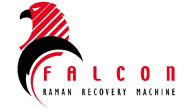 ᐈ Falcon Logo: 20+ Emblem Examples, Tips on Creation | ZenBusiness