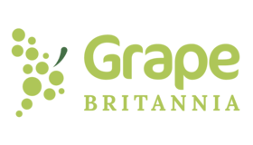 ᐈ Grapes Logo: 20+ Emblem Examples, Tips on Creation | ZenBusiness