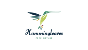 ᐈ Hummingbird Logo: 20+ Emblem Examples, Tips on Creation | ZenBusiness