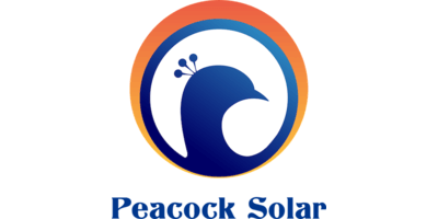 ᐈ Peacock Logo: 20+ Emblem Examples, Tips on Creation | ZenBusiness