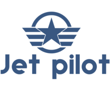 ᐈ Pilot logo: Smart tip and 20+ beautiful examples | ZenBusiness