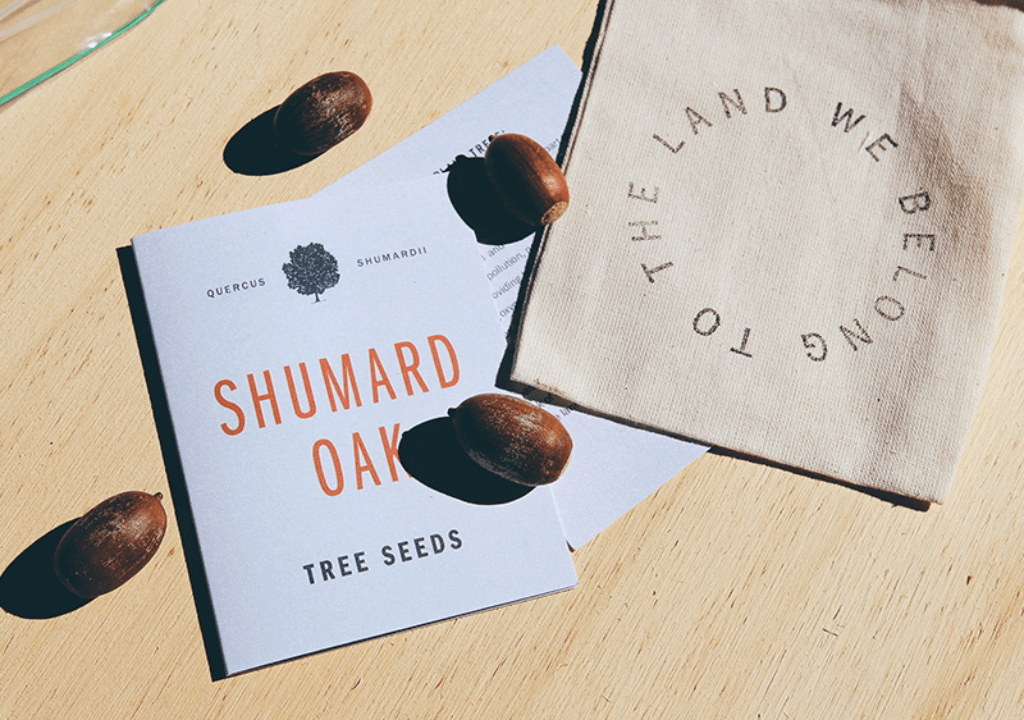 How to Create an Advertising Booklet and Where To Use It | ZenBusiness