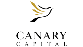ᐈ Canary Logo: 20+ Emblem Examples, Tips on Creation | ZenBusiness