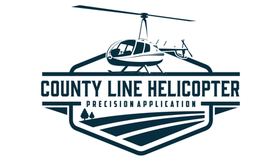ᐈ Helicopter logo: 20+ examples of emblems, design tips | ZenBusiness