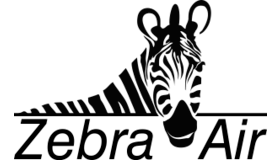 ᐈ Zebra Logo: 20+ Emblem Examples, Tips on Creation | ZenBusiness