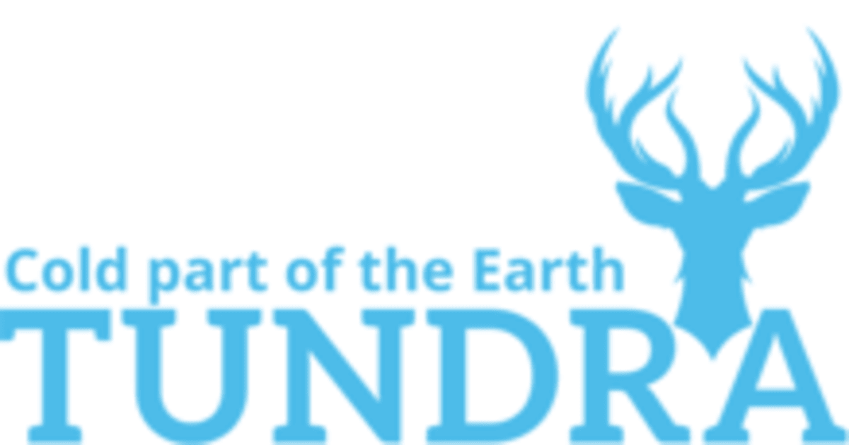 ᐈ Deer Logo: 20+ Emblem Examples, Tips on Creation | ZenBusiness