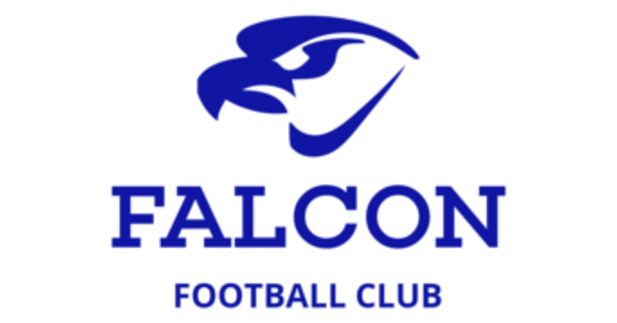 ᐈ Falcon Logo: 20+ Emblem Examples, Tips on Creation | ZenBusiness