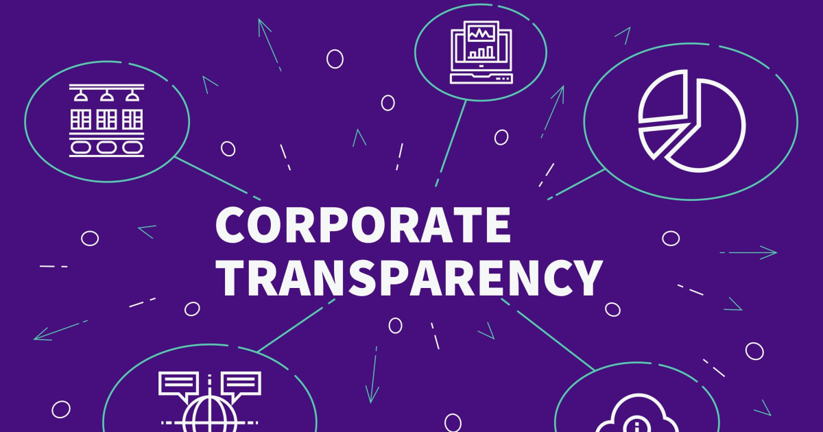 Corporate Transparency Act: Reporting Requirements for Small LLCs and Corporations | Bizform.us