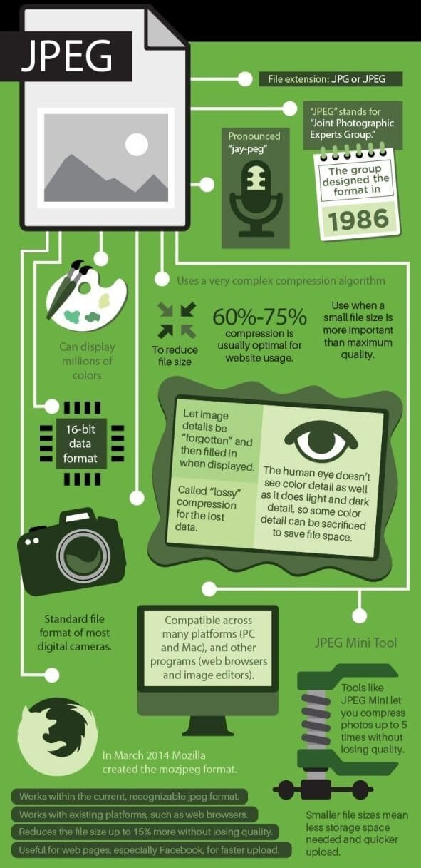 Advantages and disadvantages of JPEG format [Infographic] | ZenBusiness