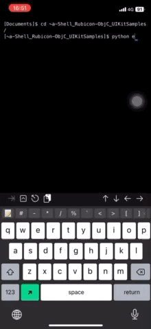 【制作編】#3: a-Shell(mini) アプリでアプリをつくる【Rubicon-ObjC】