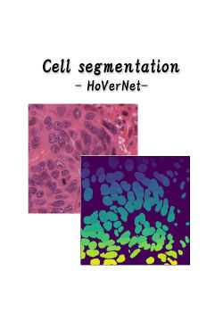 はじめに｜HoVerNetで細胞のインスタンスセグメンテーション