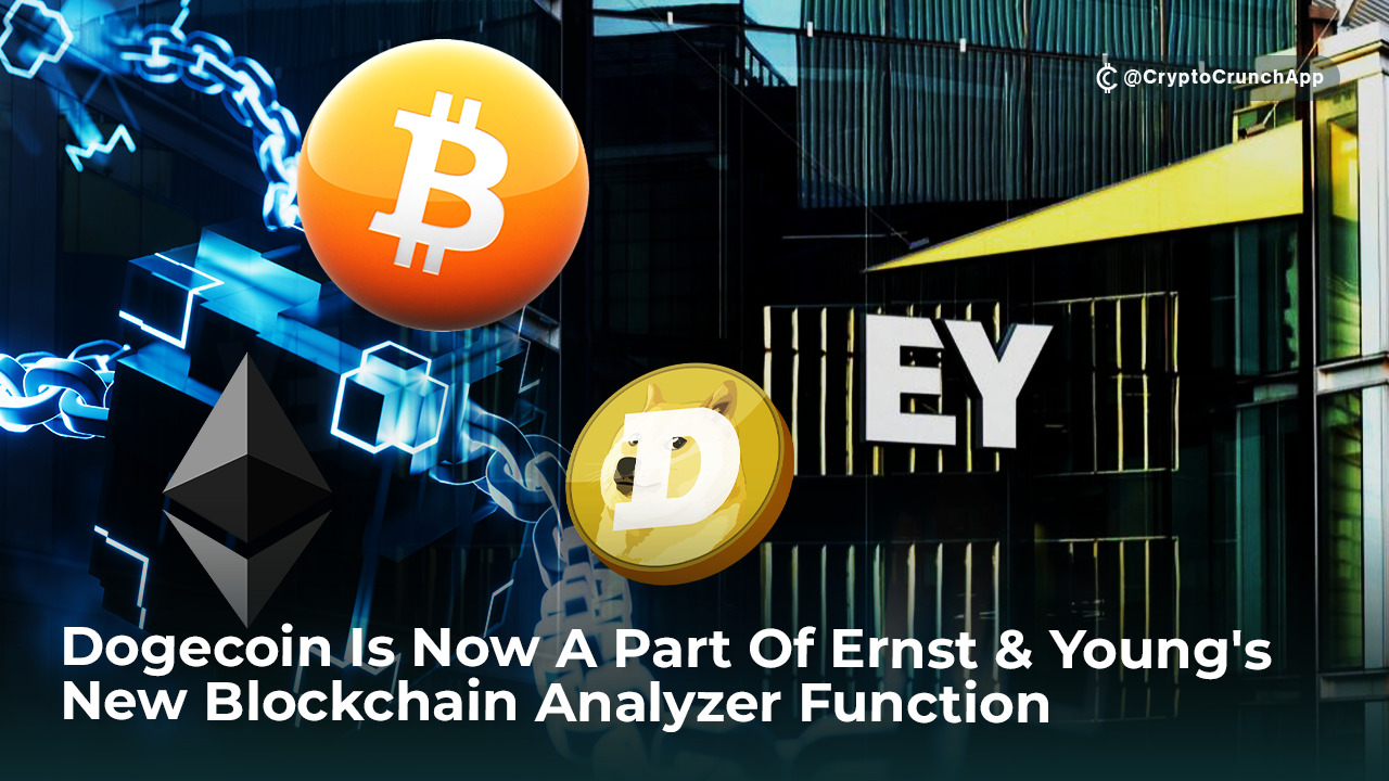 Dogecoin Is Now A Part Of Ernst & Young's New Blockchain Analyzer Function Dogecoin Is Now A Part Of Ernst & Young's New Blockchain Analyzer Function