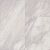 Shaw Floorte Pro - Paragon Tile Plus - Jordan from Znet Flooring