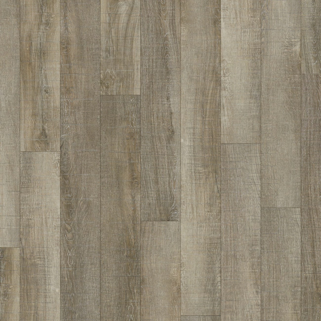 Shaw - Classico Plank - Molo from Znet Flooring