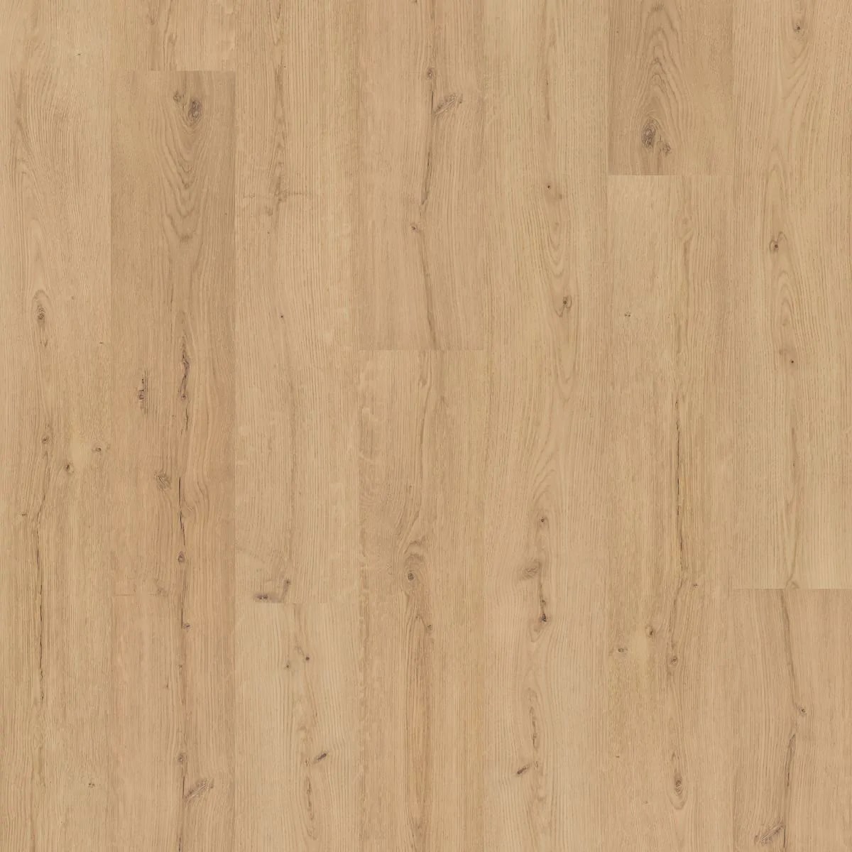 Mohawk SolidTech Premier - Saltgrass Springs - Ryder | SDP50-409