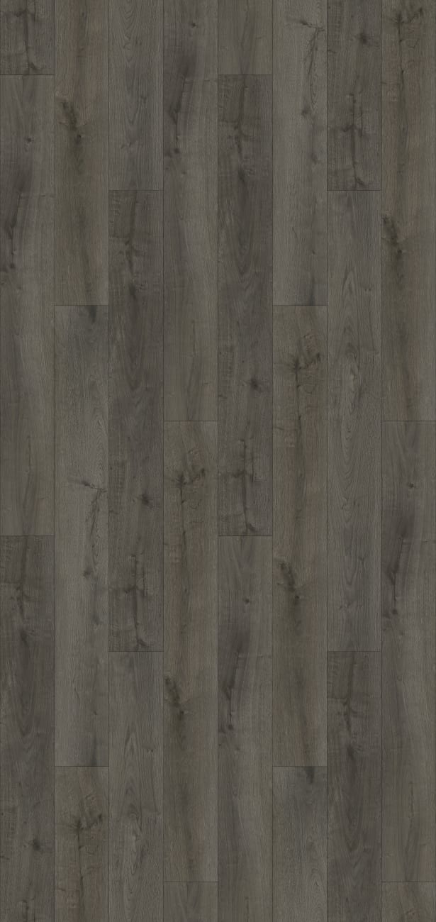 Lions Floor - District LVP - Bellevue | LI-DT09