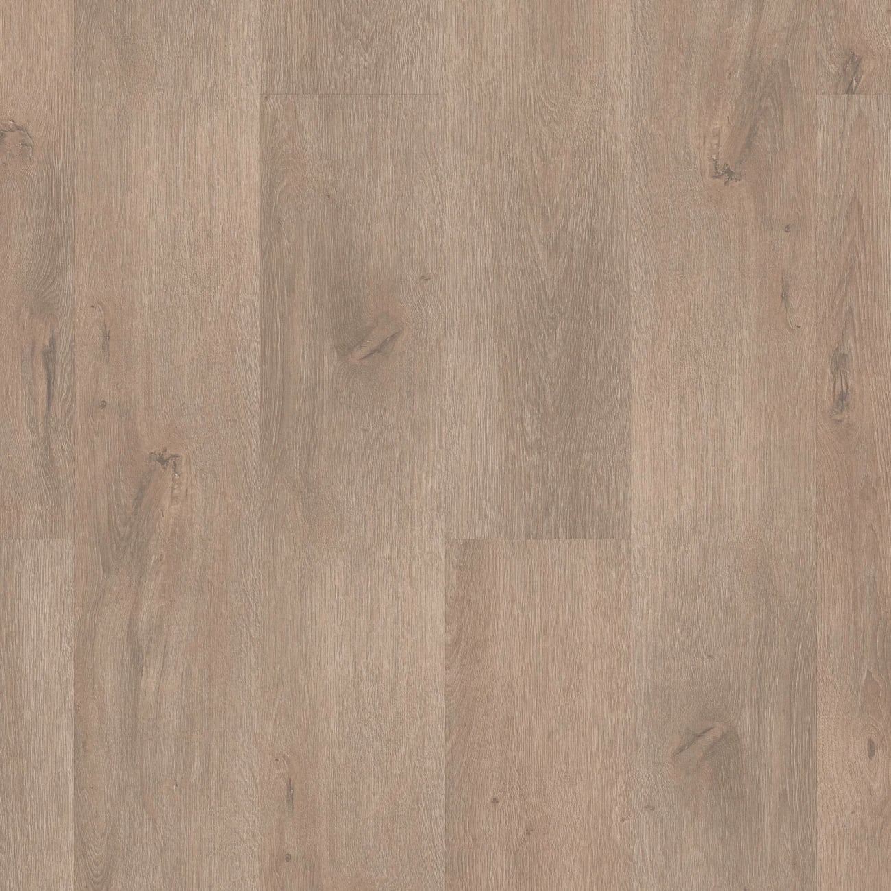Shaw - Cadence - Light Pewter | SL449_05051