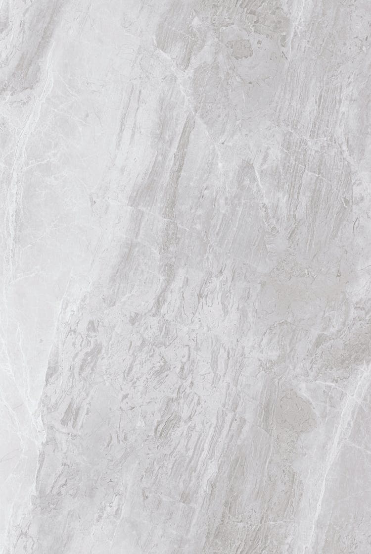 PHENIX - Corex Rigid Core - Tempo Stone Flagstone from Znet Flooring