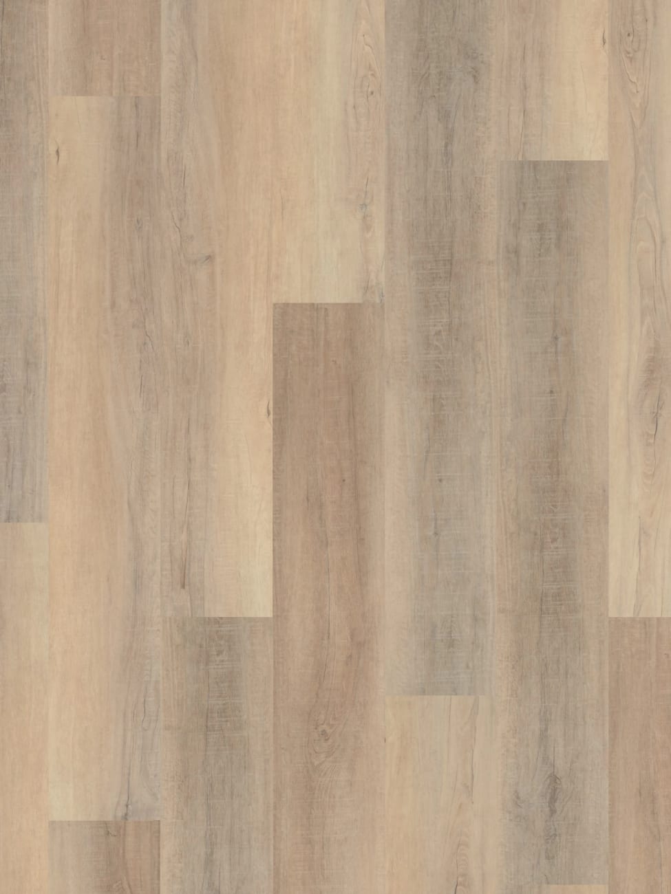 COREtec Bastion Elm - Waterproof Vinyl Plank - VV488-02095
