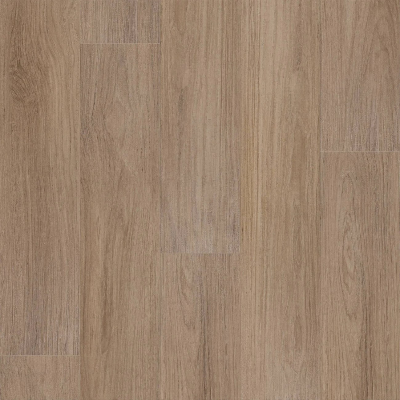 Shaw Floorte - Distinction Plus - Hazelnut Brown | 07320_2045V