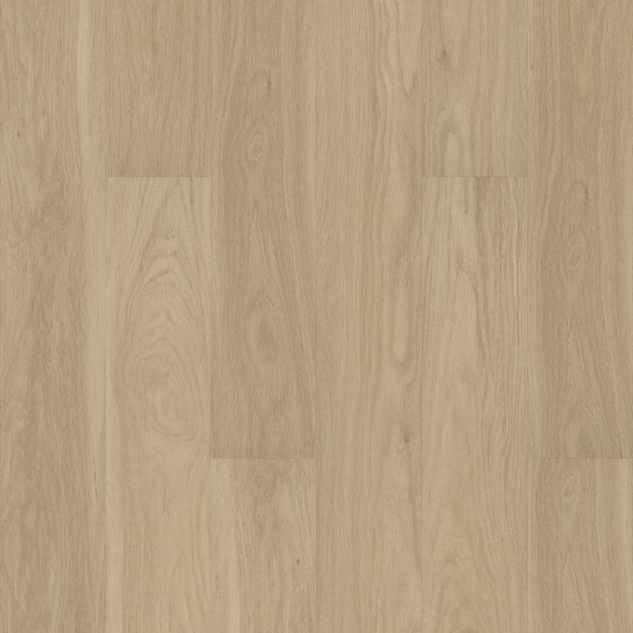 Shaw Floorte - Palatino Plus - Stadium | 00155_2801V