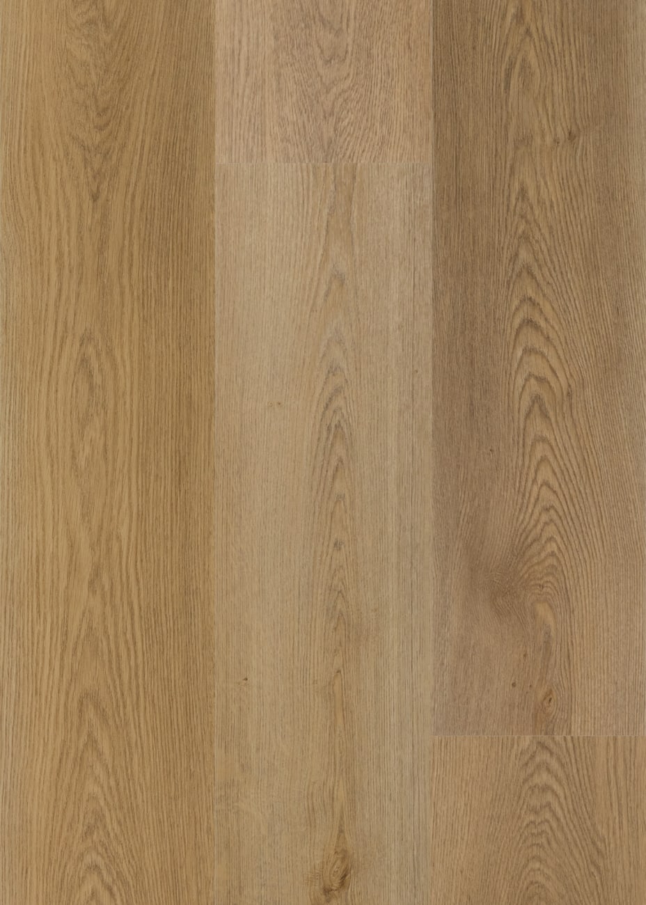 Daltile Manor - Waterproof Vinyl - AB2497120L65MSX