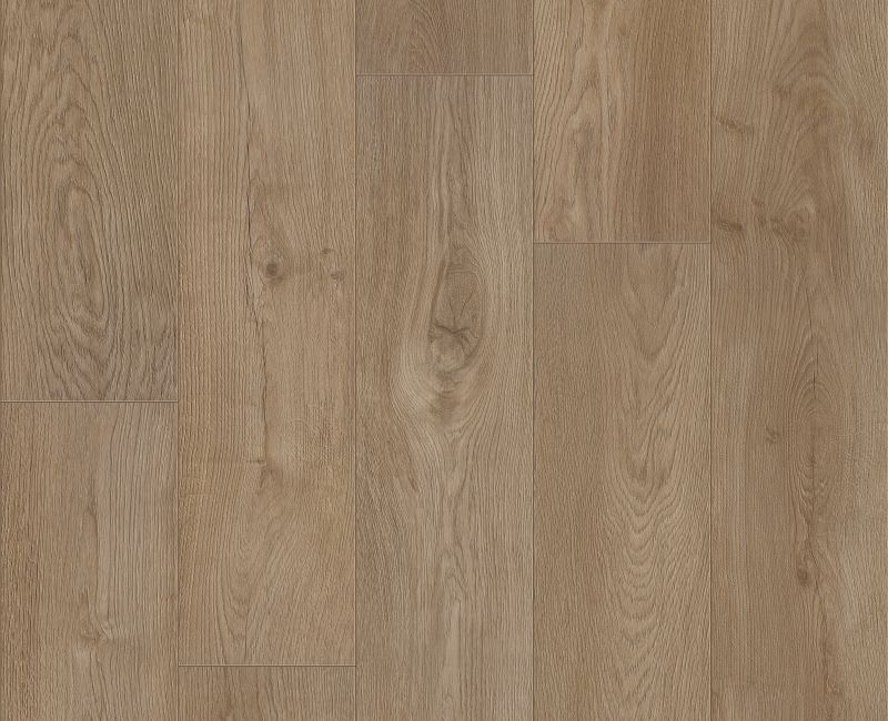Shaw Floorte Pro - Fresh Take - Wingback Brown | 07302-3415V