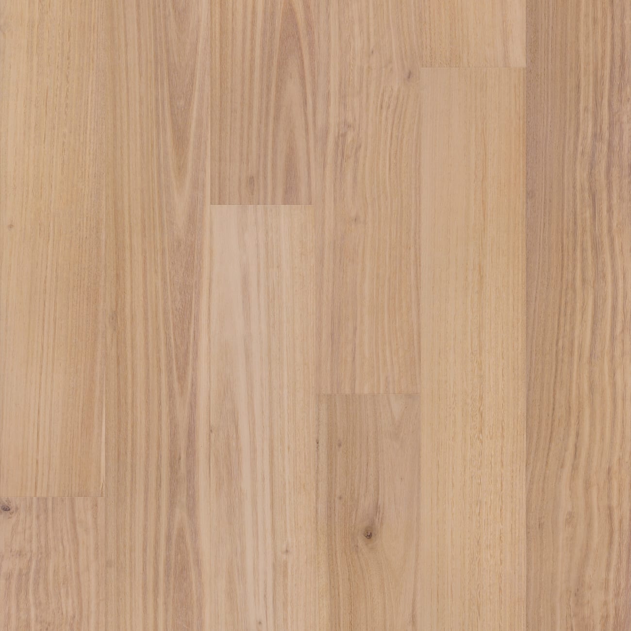 Shaw - Bridgewater Eucalyptus - Coral Sand | SW790-01176