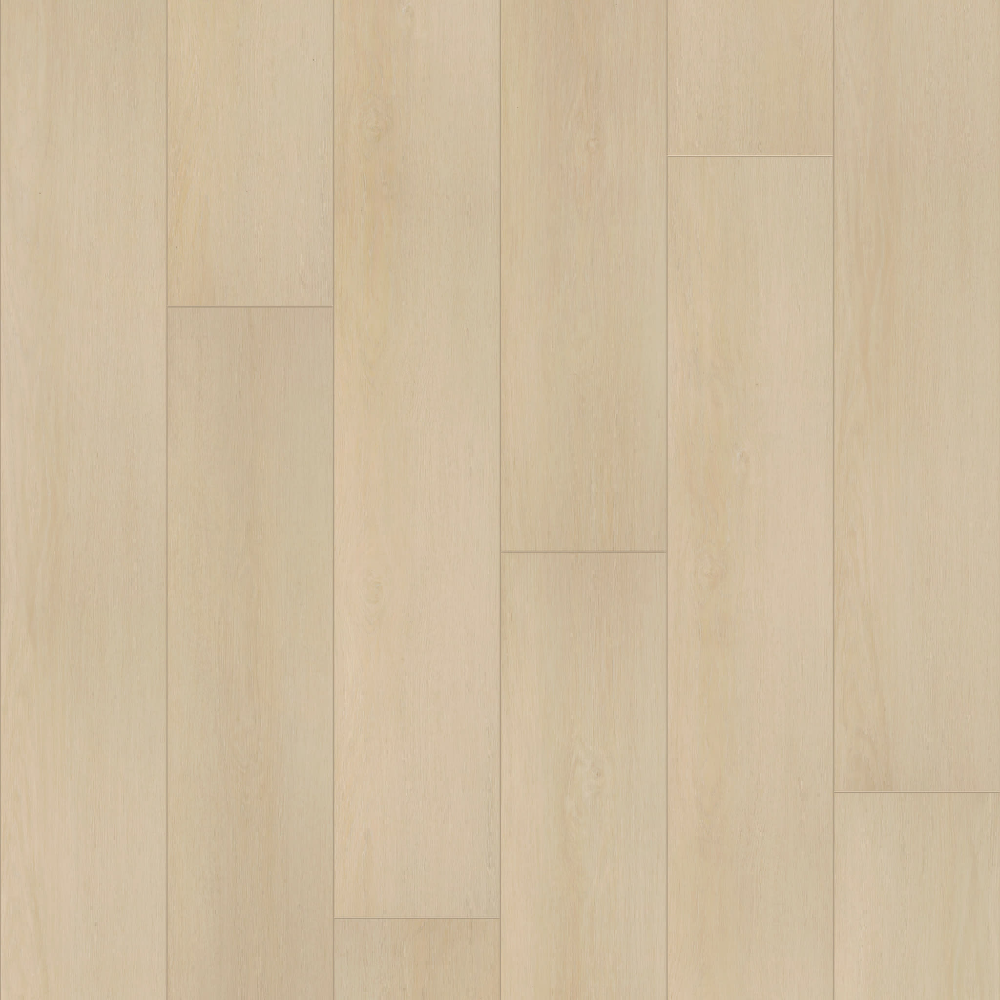 COREtec Champagne Mist Oak - Waterproof Vinyl Plank - Znet