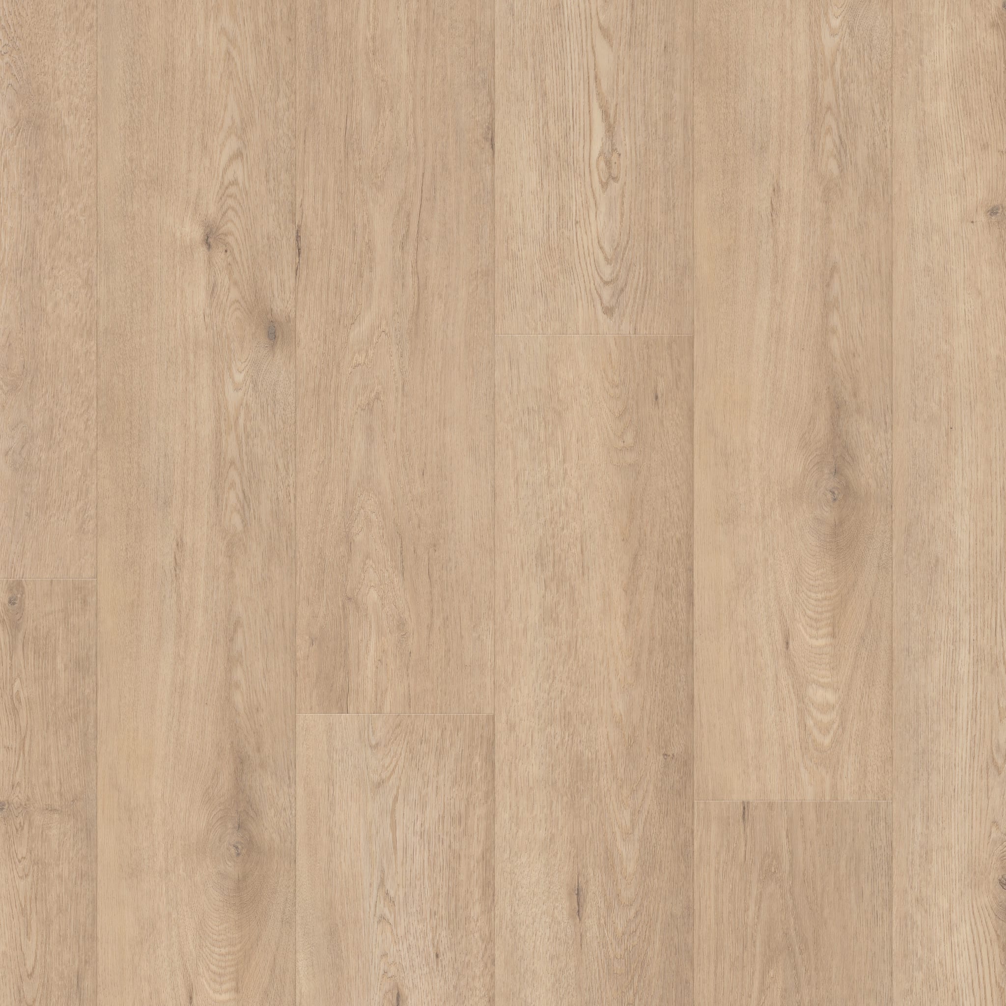 Shaw Floorte Pro - Paragon HD Plus Natural Bevel - Callaway | 02129-3038V