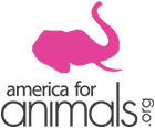 America for Animals Information | America for Animals Profile
