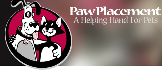 Paw Placement Information | Paw Placement Profile