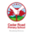 Cedar Road Primary School Email verification & Email checker | NeverBounce