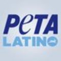 PETA Latino Email verification & Email checker | NeverBounce