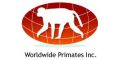 Worldwide Primates Email verification & Email checker | NeverBounce