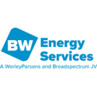BW Energy Services Pte Ltd (Philippines - Overview, News & Similar ...