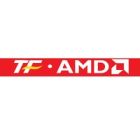 TF AMD Microelectronics - Overview, News & Similar companies | ZoomInfo.com