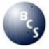 BCS Holdings Company Profile | Management and Employees List