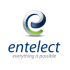 Entelect Company Profile | Management and Employees List