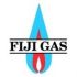 Fiji Gas Company Profile | Management and Employees List