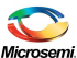 Microsemi Company Profile | Management and Employees List