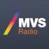 MVS Company Profile | Management and Employees List