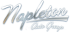 Napleton Automotive Group Company Profile | Management and Employees List