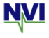 NVI Company Profile | Management and Employees List