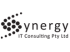 Synergy IT Group Company Profile | Management and Employees List