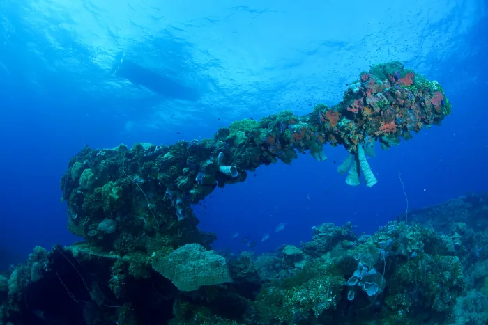 Chuuk Lagoon | ZuBlu