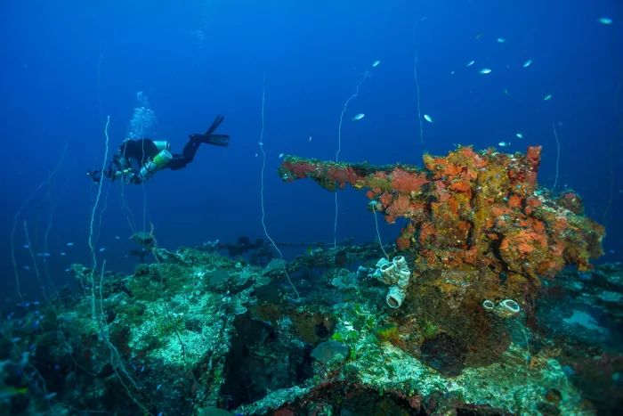 Chuuk Lagoon | ZuBlu